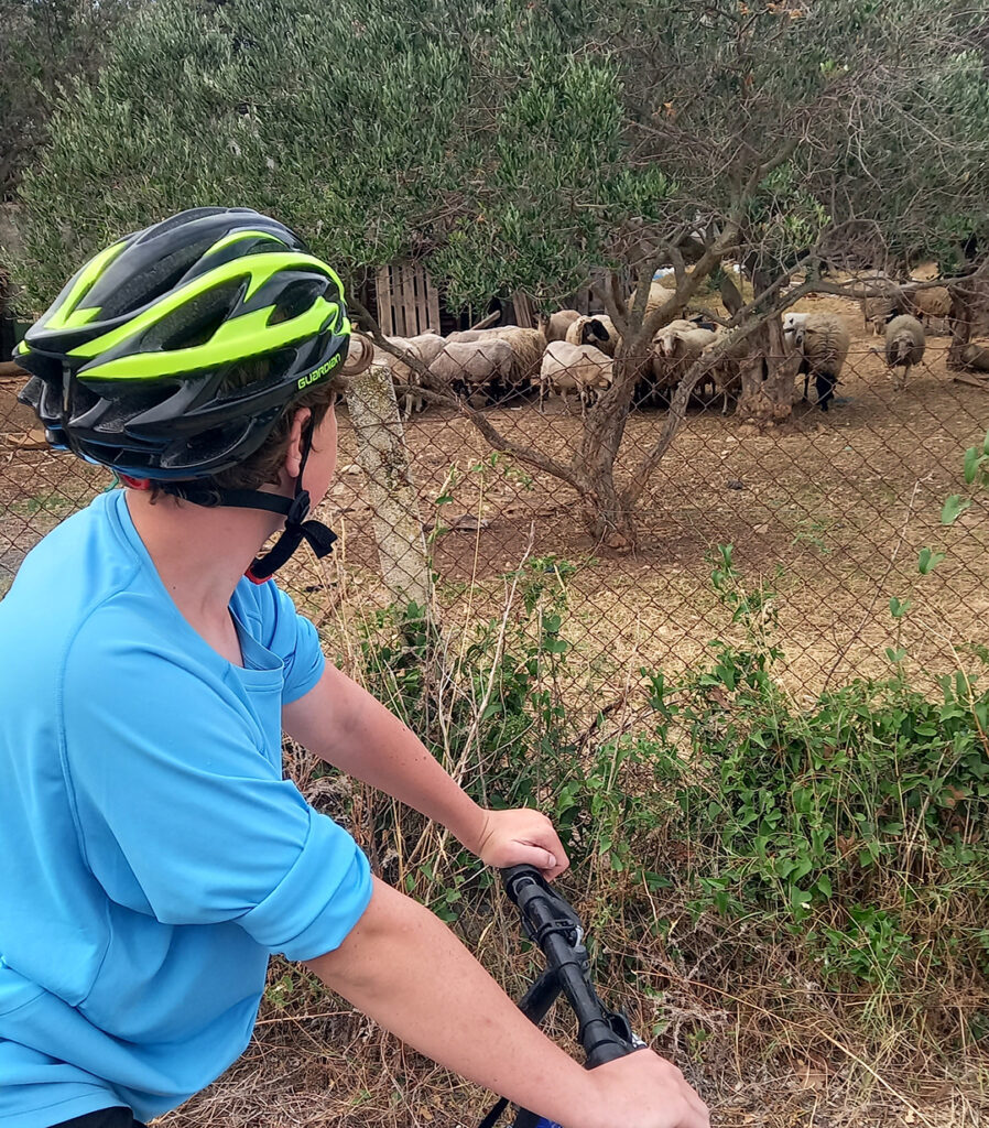 Bikepacking the Vransko Jezero Lake, Croatia - Realworld Adventures